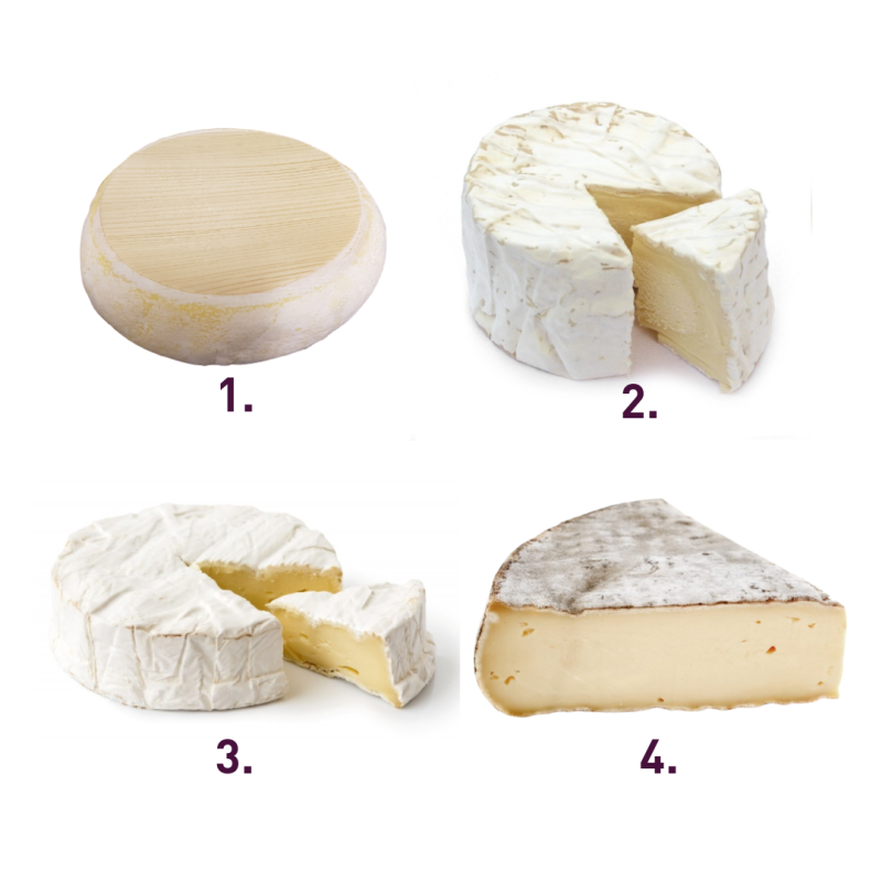 Cheese Classic Selection