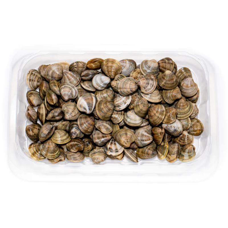 Lupini Clams Venus Super