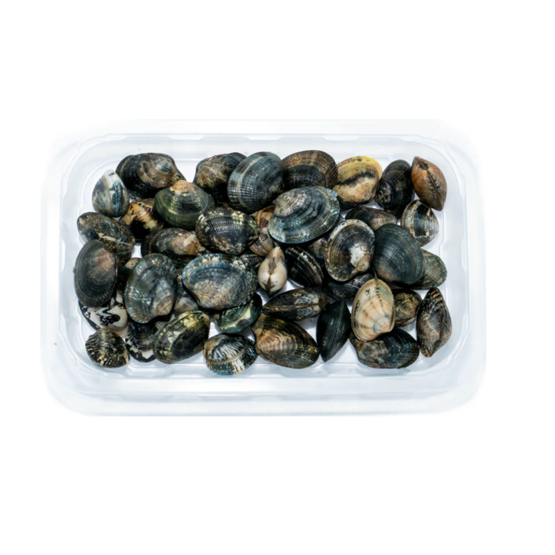 Vongole Clams