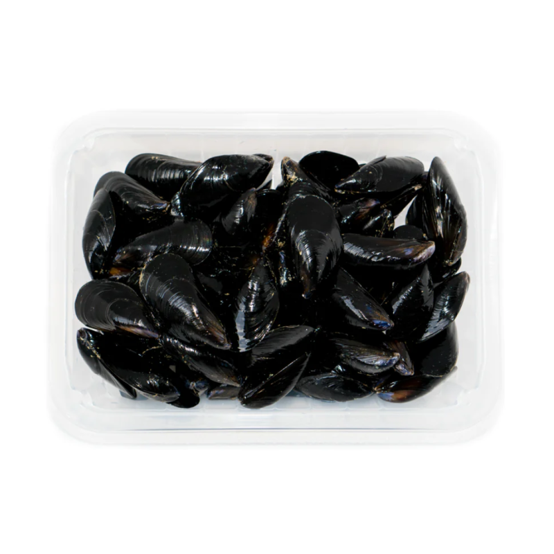 Mussels Fresh