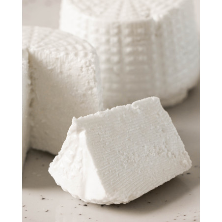 Cheese Ricotta Fresh