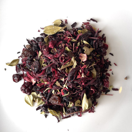 Premium Collection Forest Fruit Tea Bags