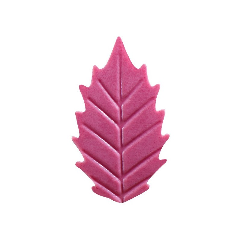 Small Ribbed Leaves Raspberry 4 designs